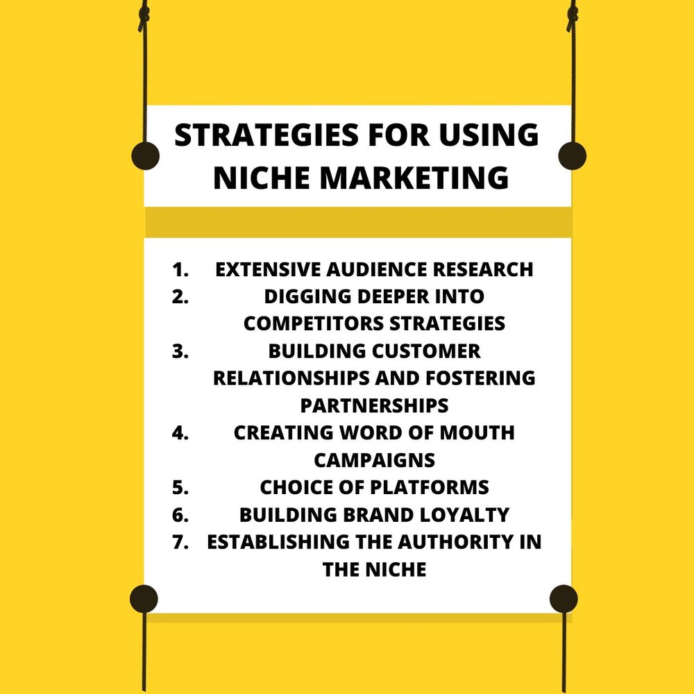 What is Niche Marketing? Examples & Strategies