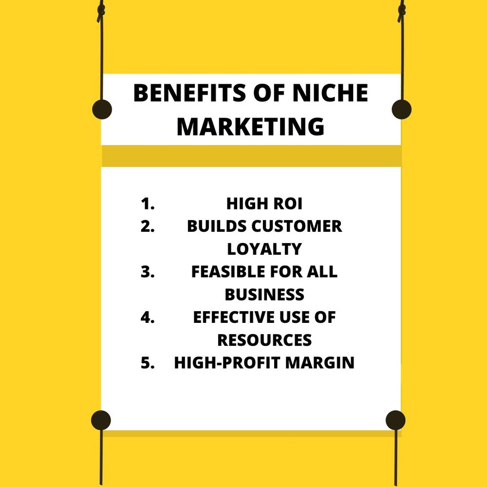 What is Niche Marketing? Examples & Strategies