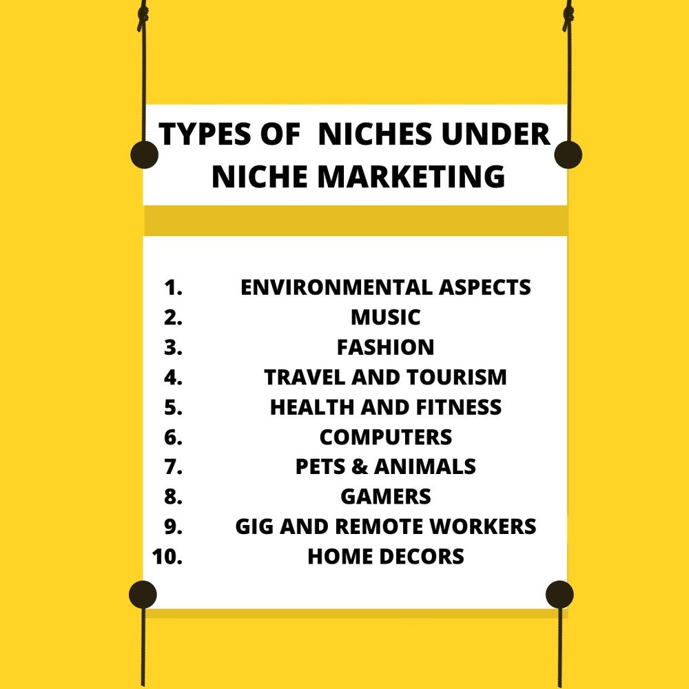 What is Niche Marketing? Examples & Strategies