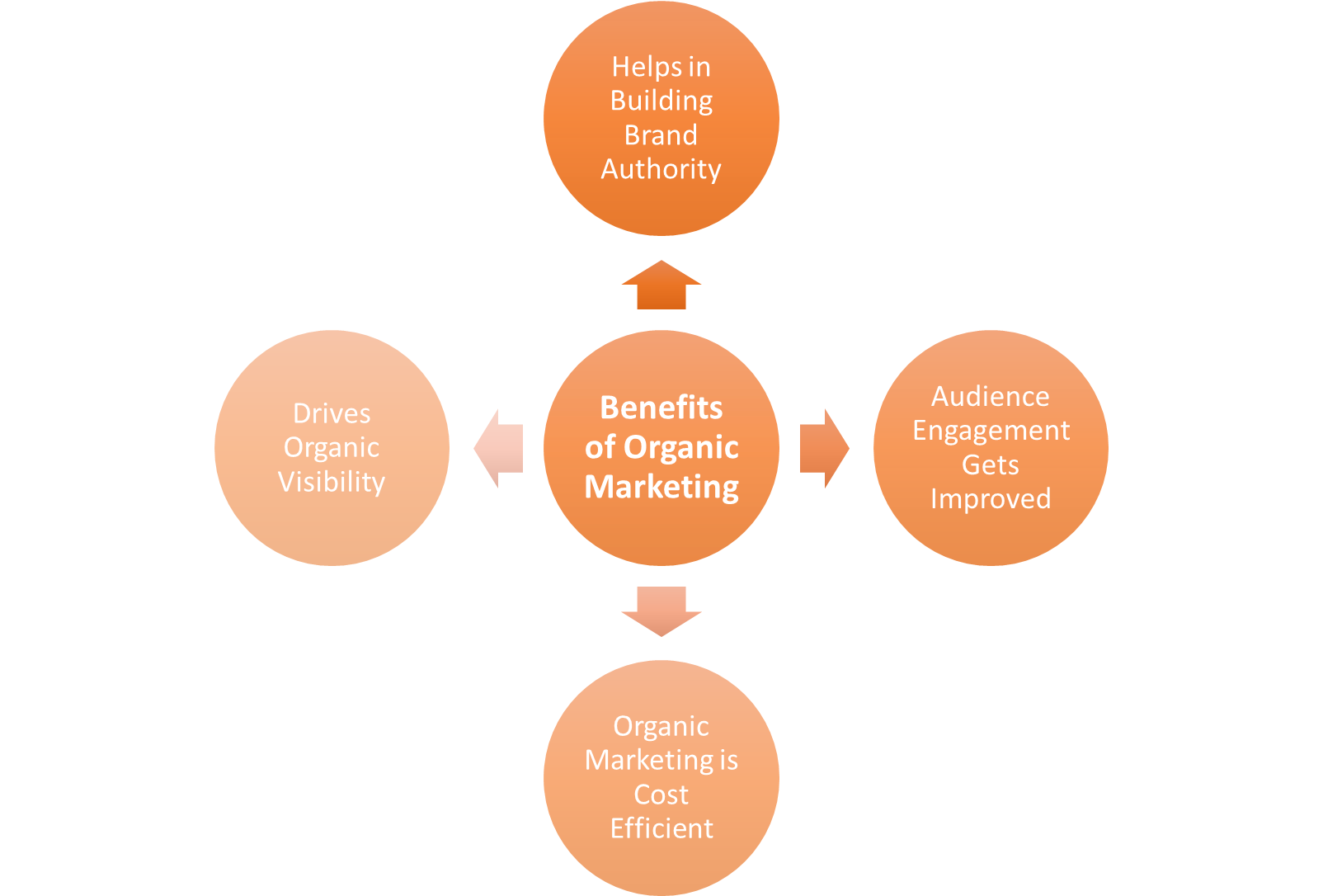 The Complete Guide to Organic Marketing