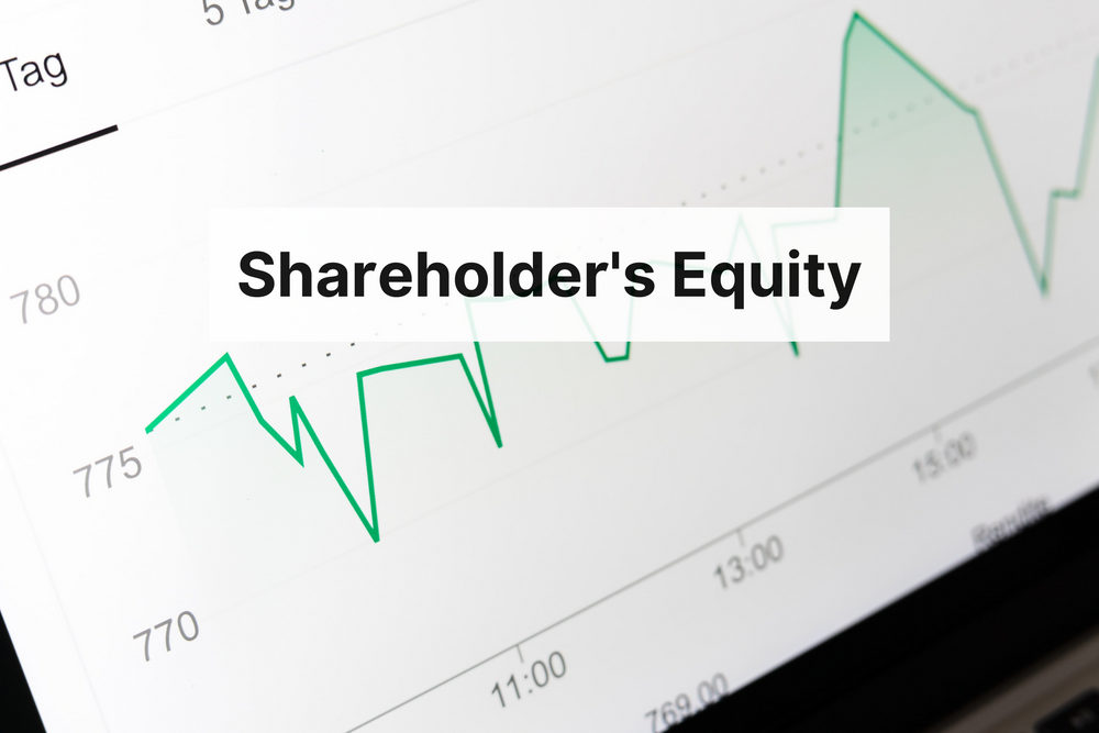 Shareholder's Equity: Formula with Examples Shareholder's Equity: Formula with Examples