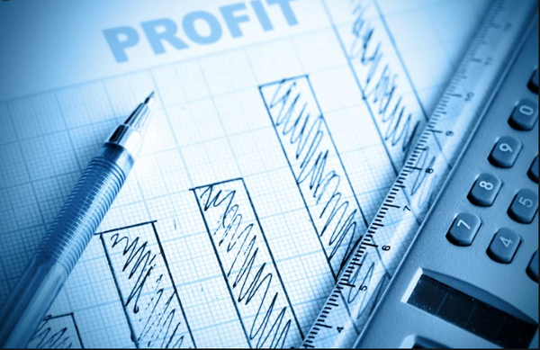 Understanding Net Profit