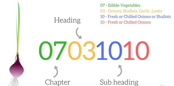 Understanding HSN Codes & SAC Codes Under India GST